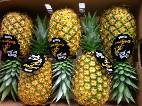 "Exitosas primeras semanas del año en el mercado de la piña tras un ...