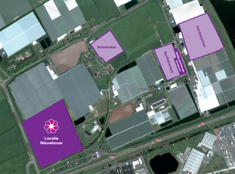 BerryWorld, The Netherlands y Beekers Berries B.V. se preparan para el ...