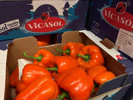 "Recent Spanish bell pepper prices a thing of the past"