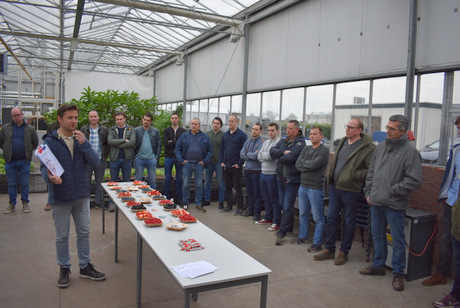 Aartsenfruit exclusieve partner in Benelux voor Driscoll's bessen in ...