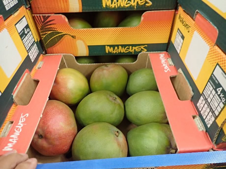 In Mali e Costa d'Avorio la stagione del mango e' terminata prima