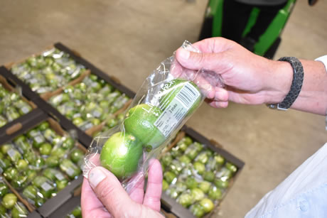 A tre anni dal lancio, lo specialista in esotici Trofi Pack e' pronto ...