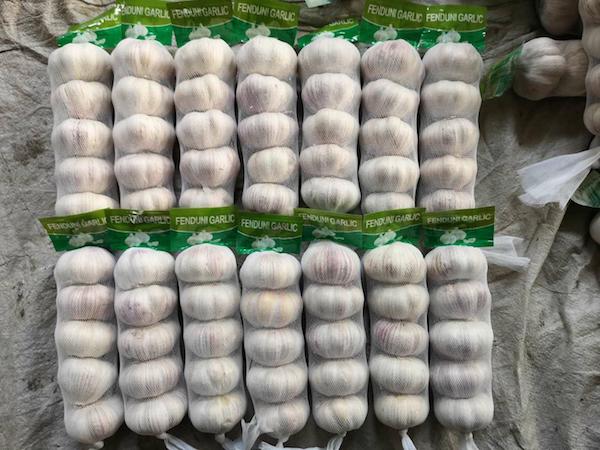 Europese bestellingen van Chinese knoflook dalen sterk