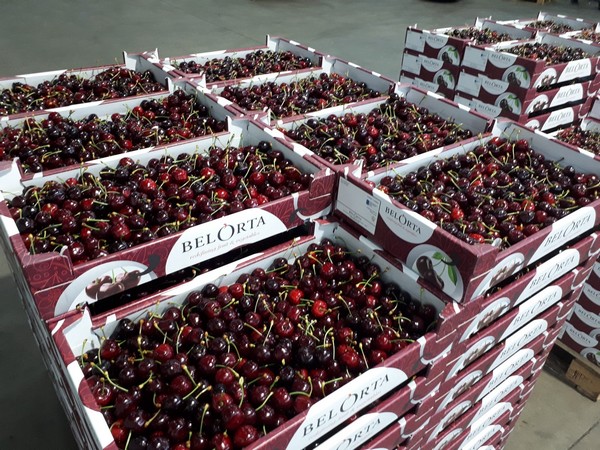 Hét branchemedium voor de AGF-sector