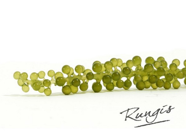 Primeur: Moai Caviar, verse zeedruifjes uit Nederland