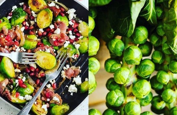 “Spruiten verliezen oubollige karakter waardoor populariteit toeneemt”