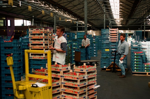 Uit de oude doos: De RBT-veiling in Breda