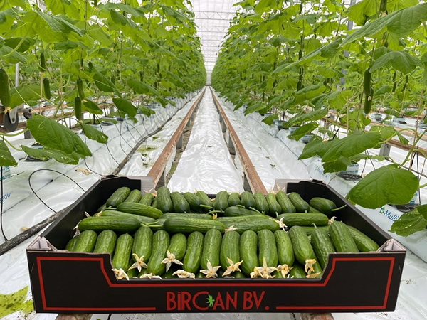 "Nach einer guten spanischen Saison fangen wir jetzt mit unserem ...