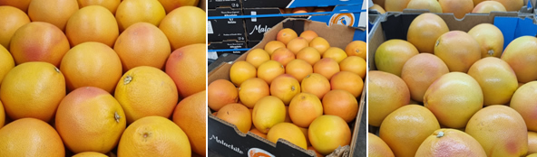 "We'd received the first grapefruits loaded in Durban before the deluge ...