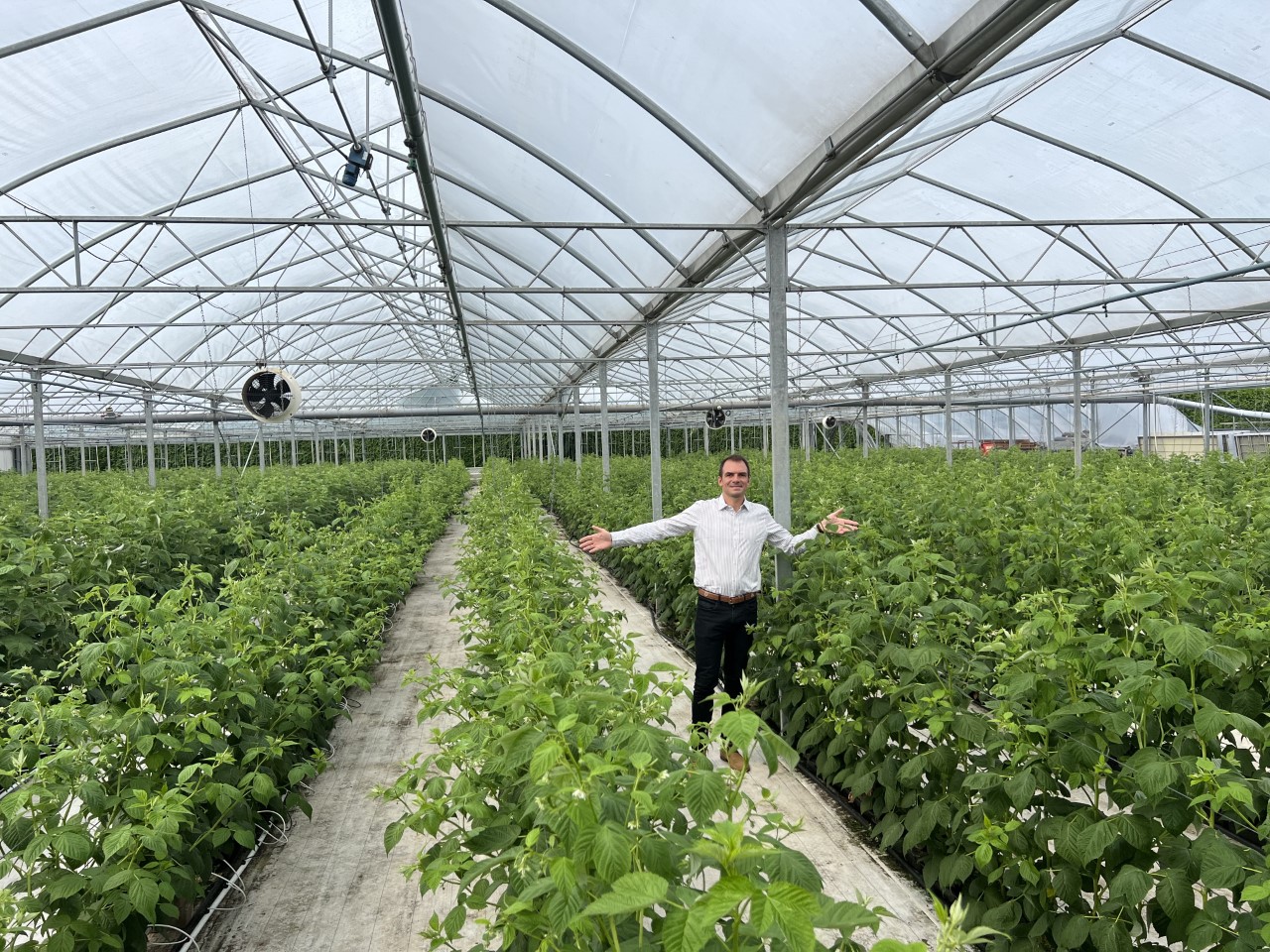 Hortidaily: global greenhouse news