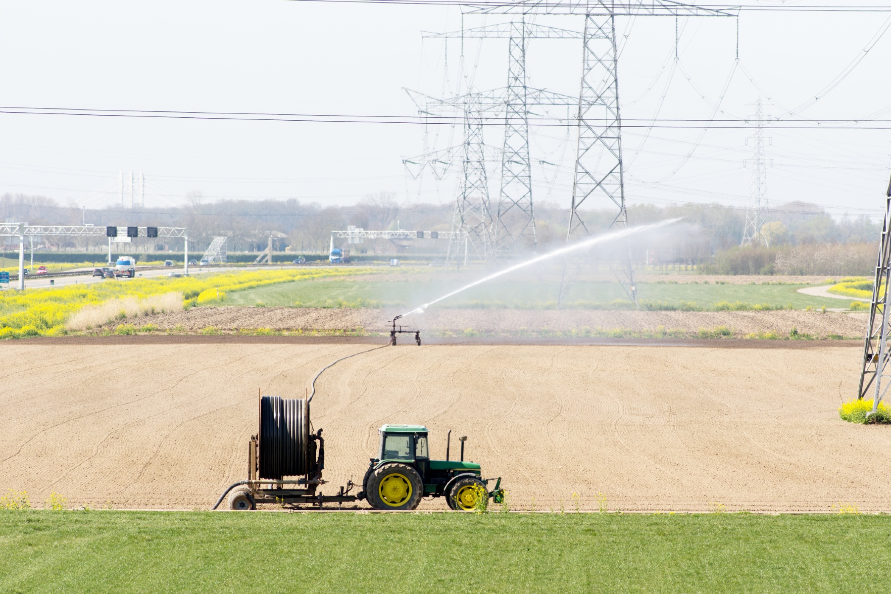 Zeeuwse telers vrezen misoogst door extreem droog voorjaar