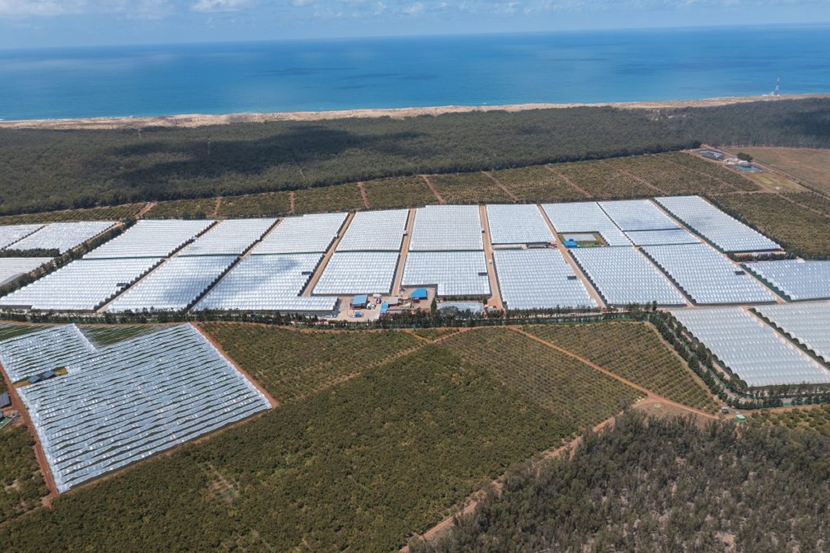 African Blue expands blueberry output in Morocco