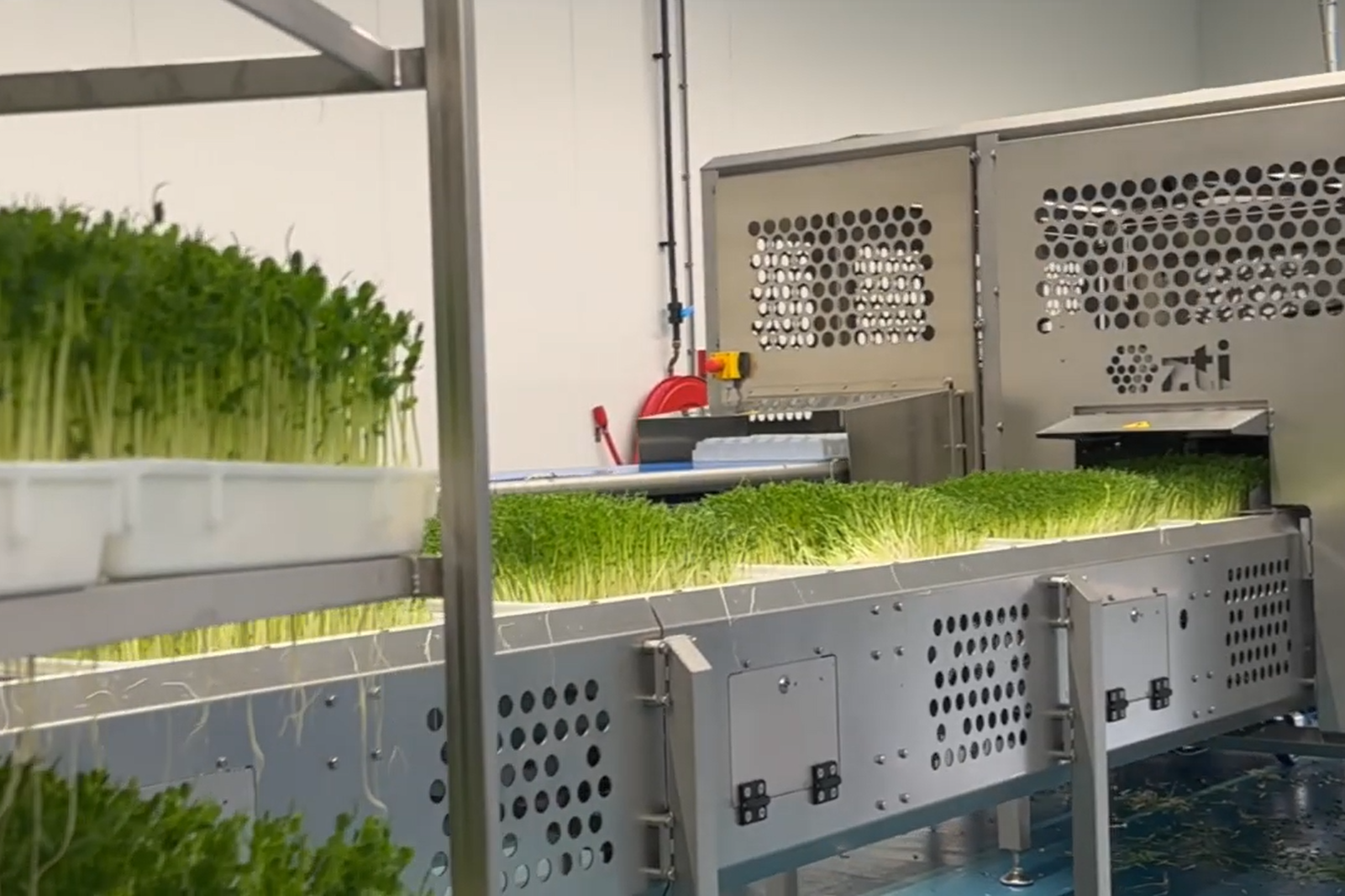 "New micro vegetable slicer increases efficiency and reduces manual work"