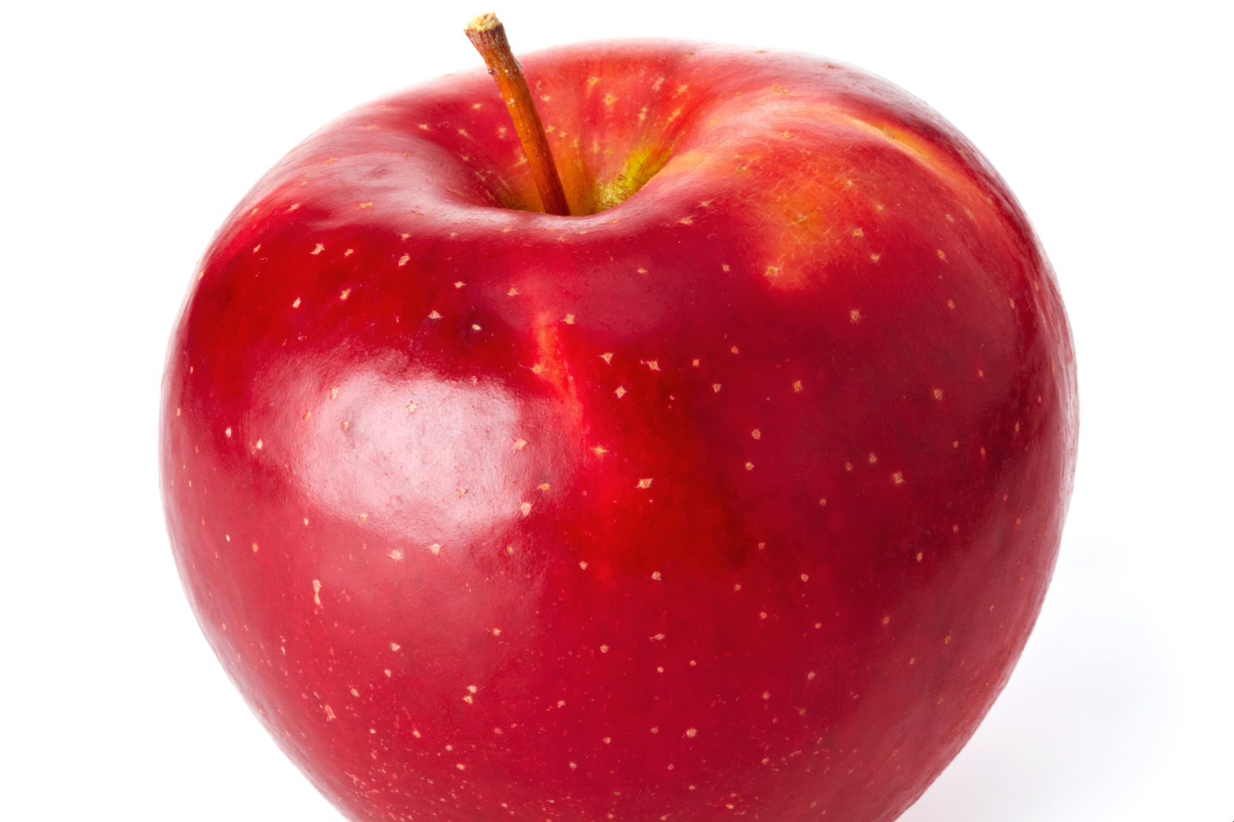 Vrouw vindt gigantische appel van 600 gram: "Hier passen vijf gewone ...
