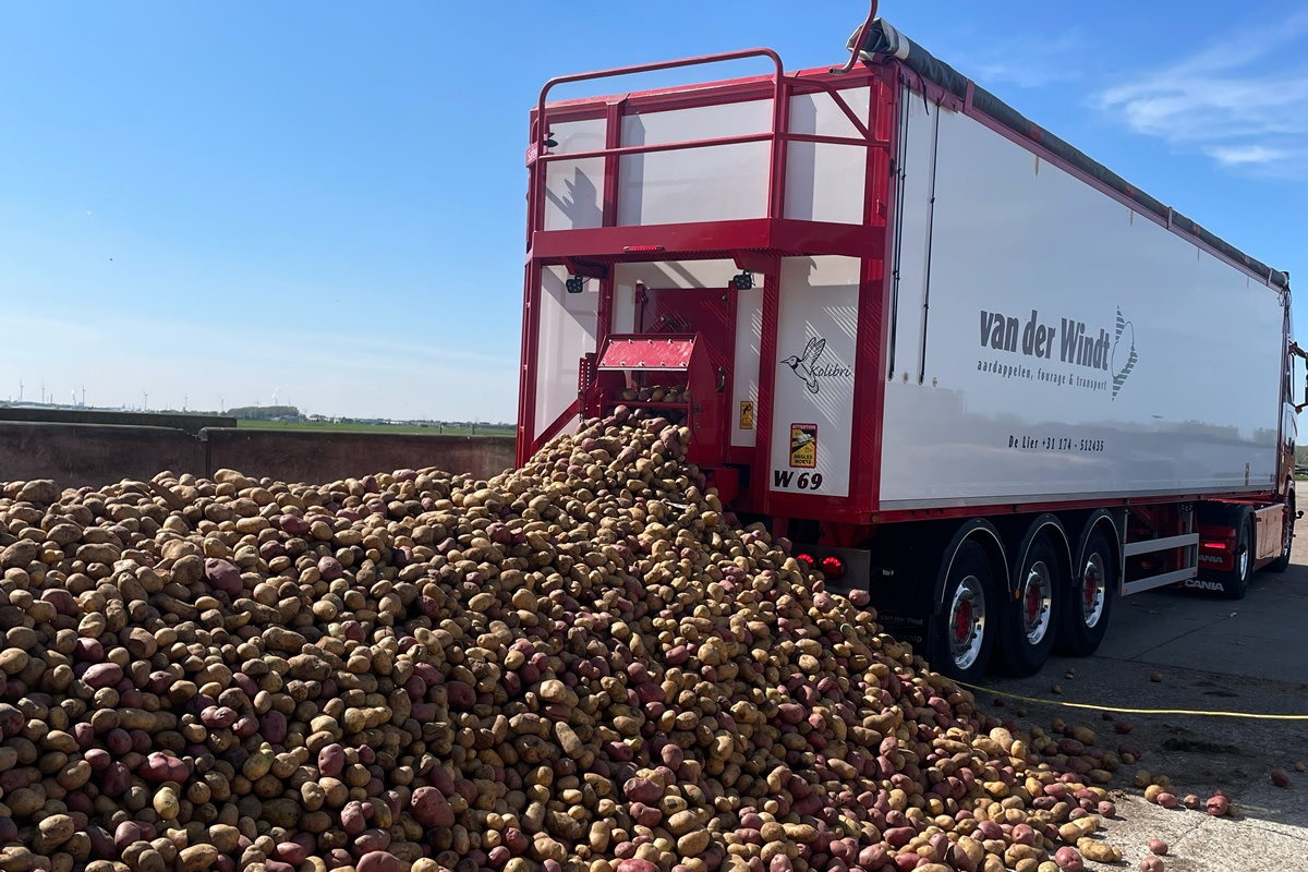 Low potato prices, costly contracts, factory downtime, and a few lone ...