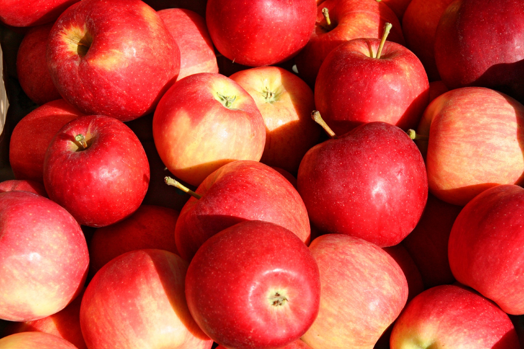 Nieuwe 24/7 automaat voor vers fruit en mocktail-sappen bij Vlaams ...