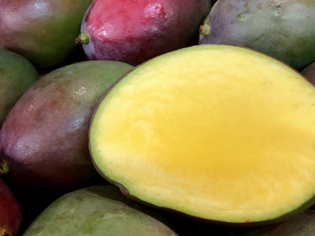 “Los mangos son uno de nuestros mejores productos”