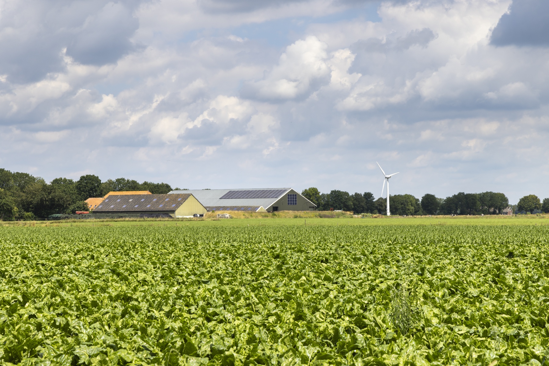 "Na val kabinet kunnen cruciale landbouw- en stikstofdossiers niet wachten"
