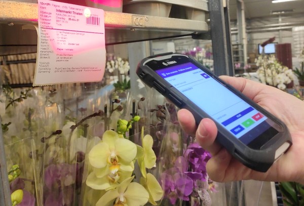 Android scanners van Codema tillen orderverwerking bij Wooning Orchids ...