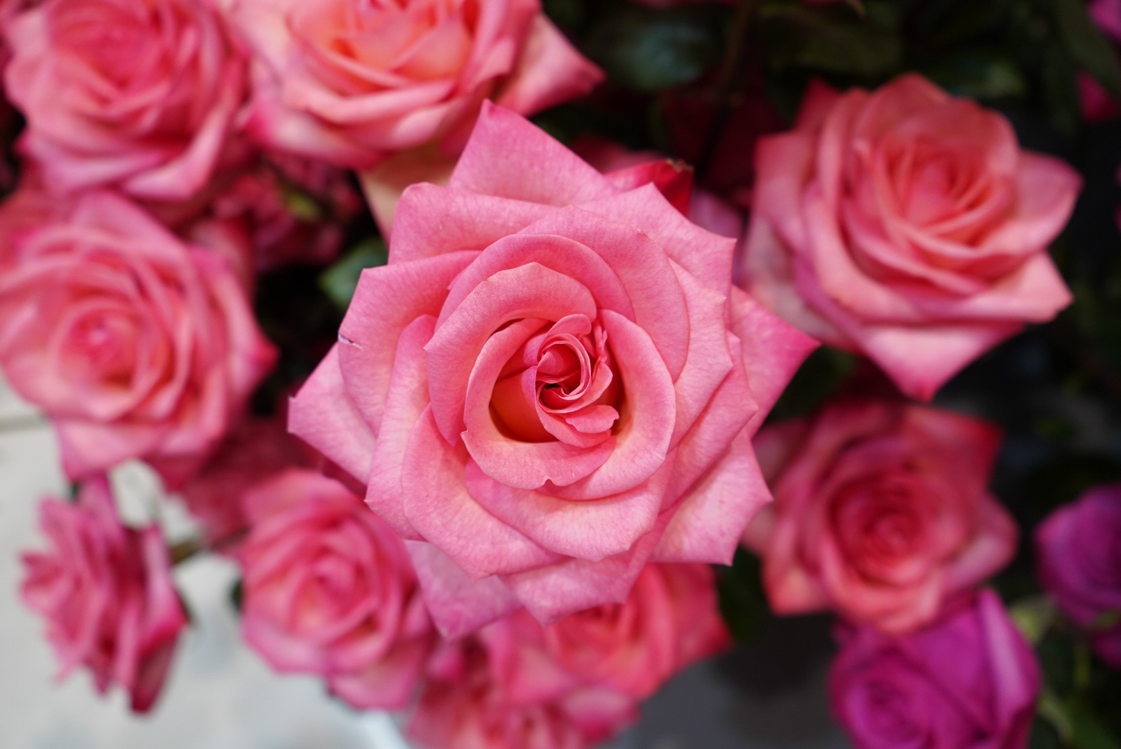 “We want to do better every day, but a great deal is already going well”