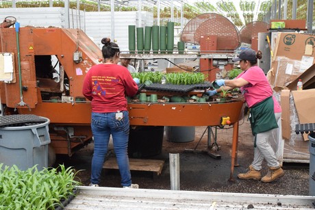 US (FL): "We grow fast, faster than our space allows us to"