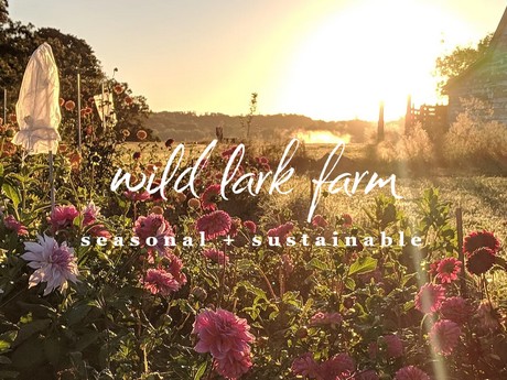 First Oklahoma farm Certified American Grown