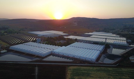 Interview with Geert van Geest LVG Plants in South Africa