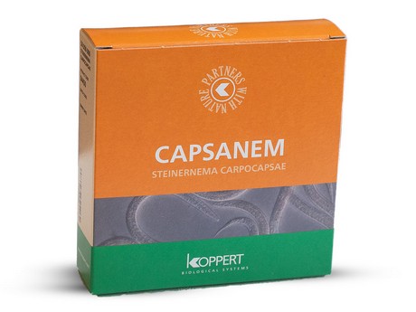 Capsanem controls box tree moth biologically