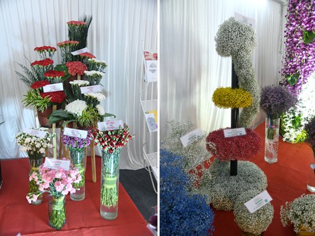 KF Bioplant’s open house kicks off