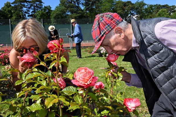 An impression of the International Rose Trials in Nyon (+ the list of ...