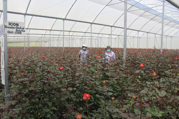 "Our culture has enabled us over the years to produce and deliver ...