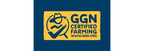 GGN label celebrates 5th anniversary with new universal, cross-category ...