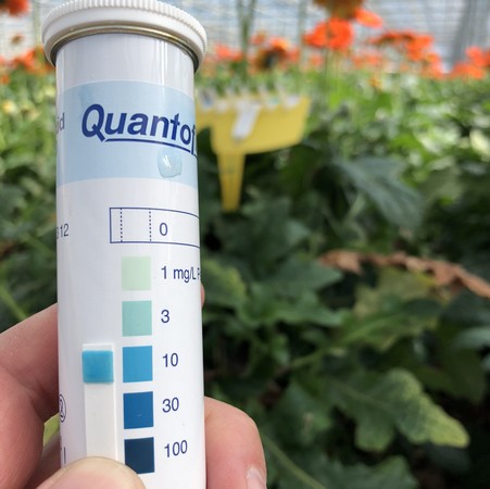 The importance of continuous high dissolved oxygen levels in irrigation ...