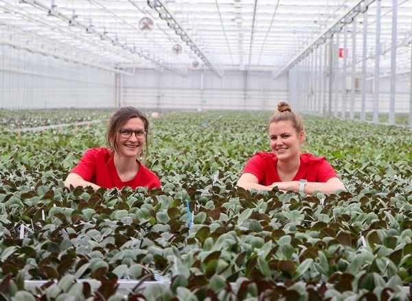 ‘Growing is like elite sport’