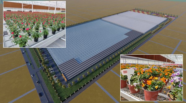 FloralDaily: global flower news