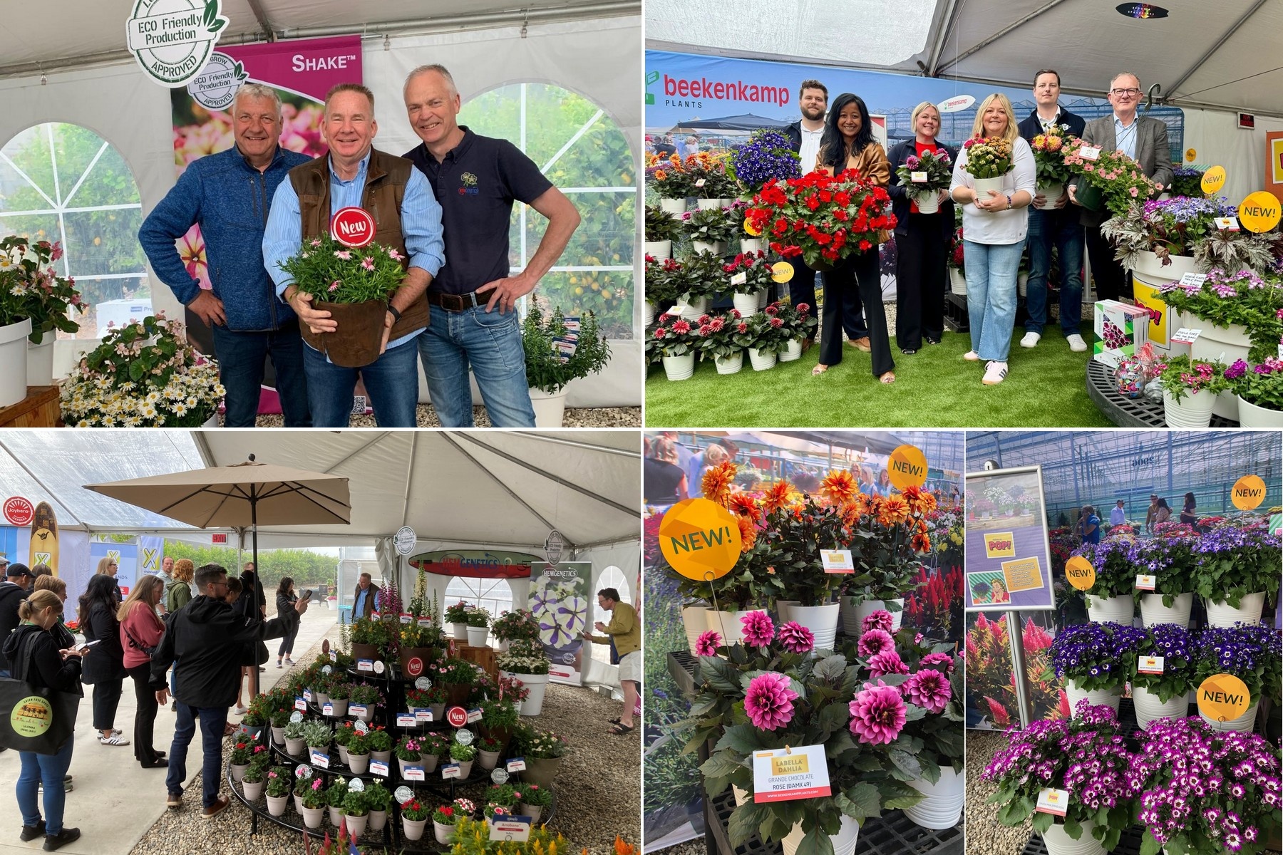 California Spring Trials in full swing