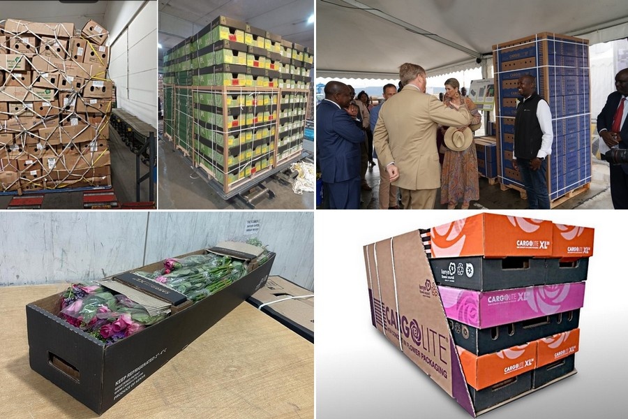 "A smarter way to ship flowers worldwide"