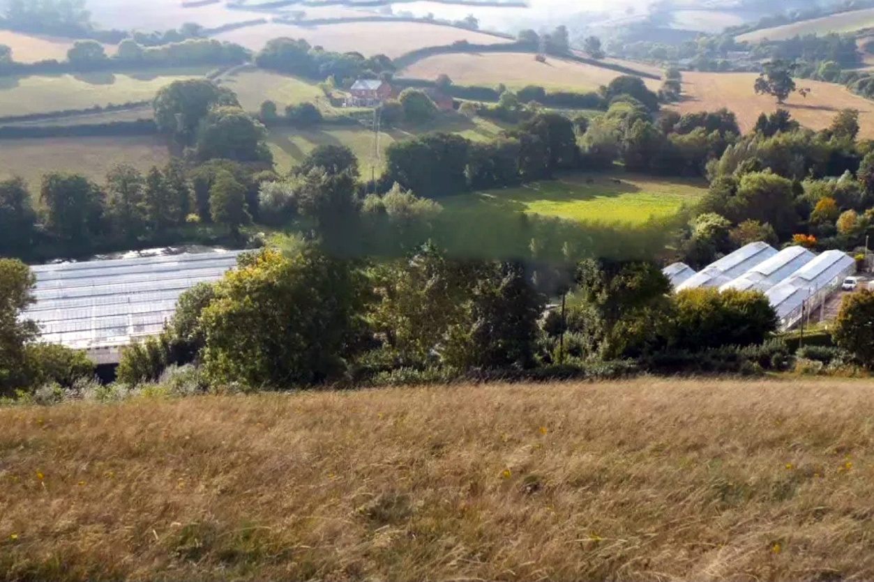 Whetman Plants International Ltd officially renamed to Selecta-One UK Ltd