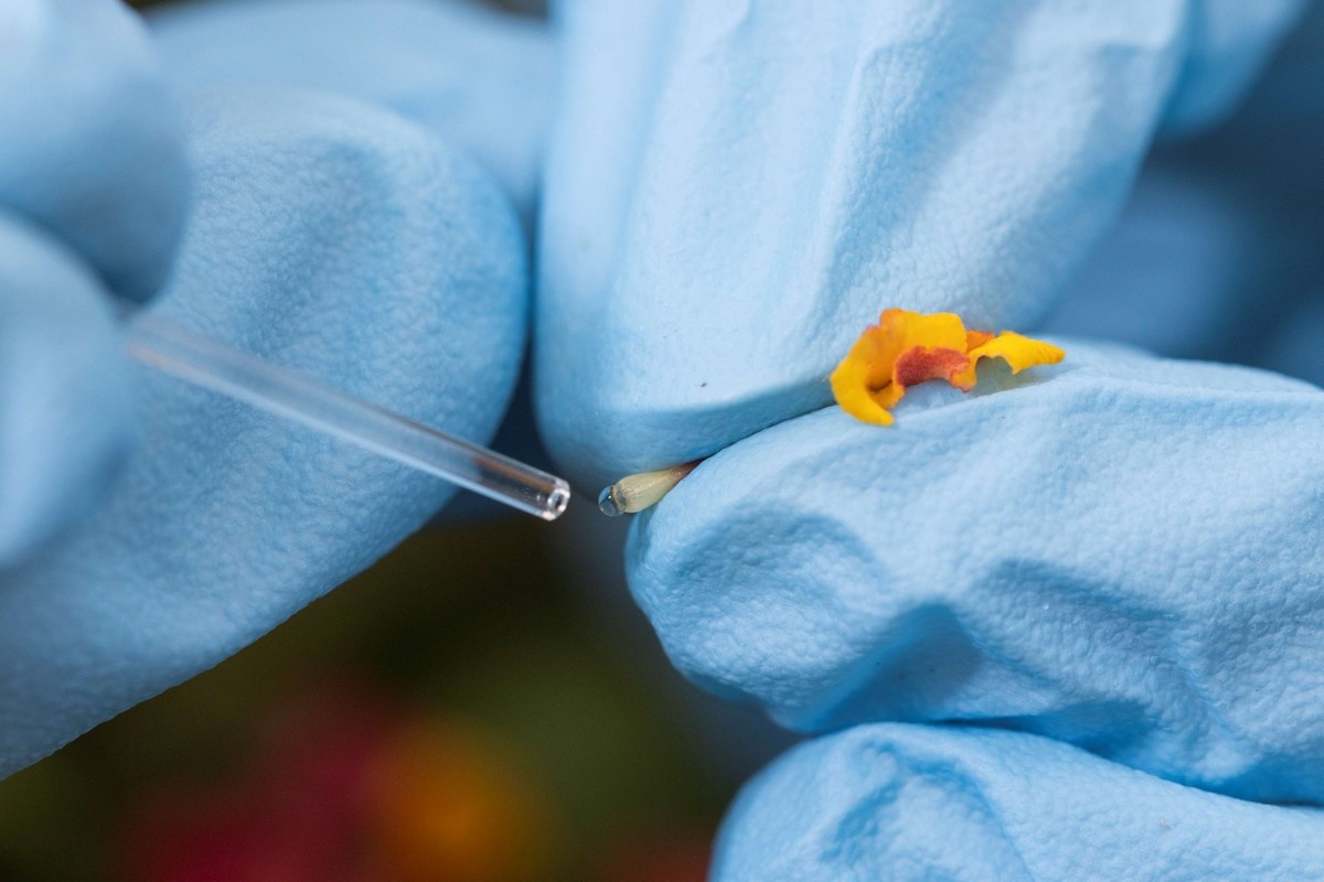 US: UF/IFAS Greenhouse course start dates announced