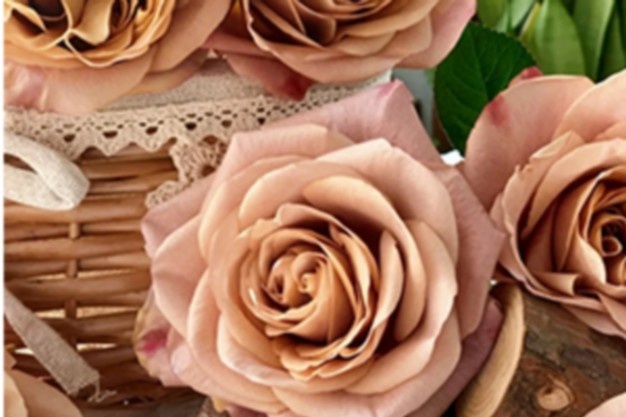 Rio Roses introduces new Rio Symbol