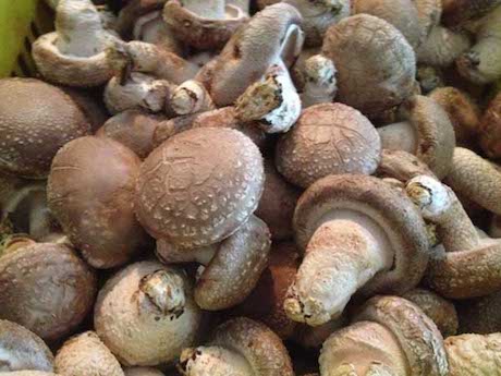 China: "Los precios de venta son estables en el mercado de las setas"