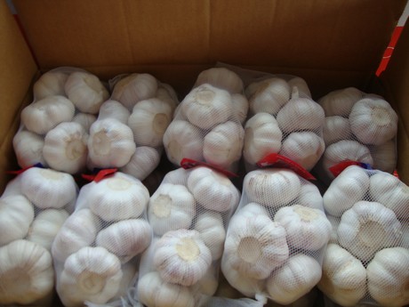“Chinese knoflook verliest 30% marktaandeel door hoge prijzen”