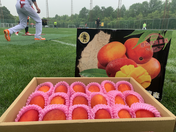 Los mangos taiwaneses Aiwen ingresarán al mercado chino esta semana