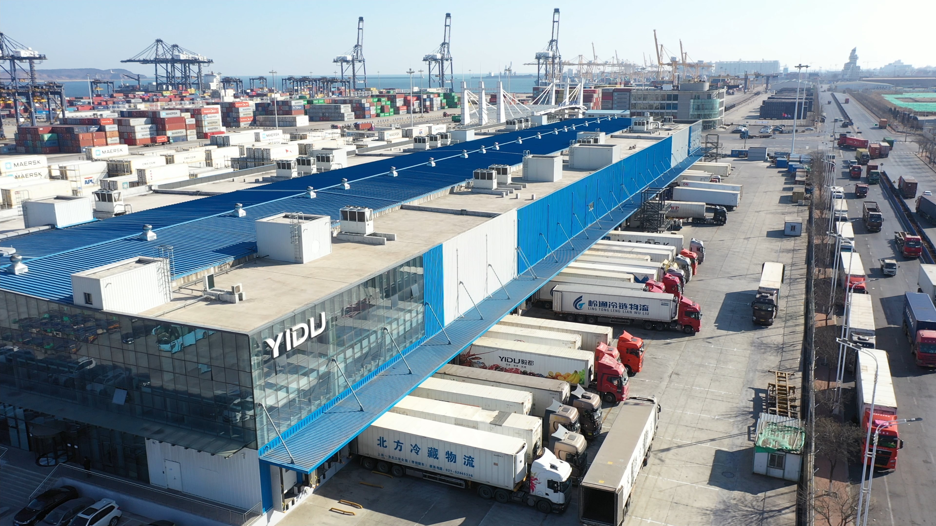 Yidu compra cerezas chilenas directamente del huerto