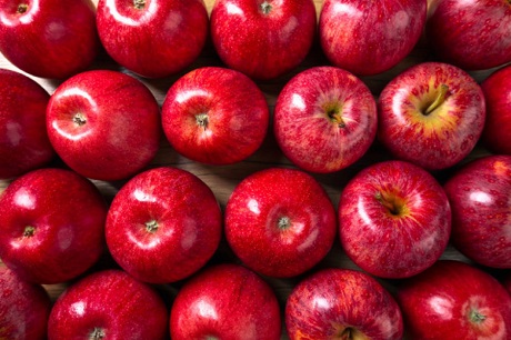 Augmentation de la production de pommes en Pologne