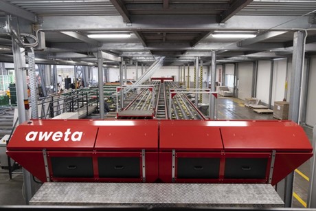 Aweta e il suo sistema di selezione per frutti di grandi dimensioni