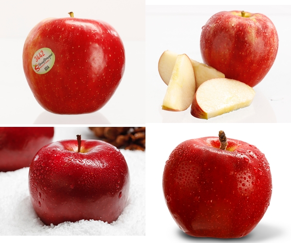 Las manzanas de Nueva York tienen éxito en una temporada competitiva