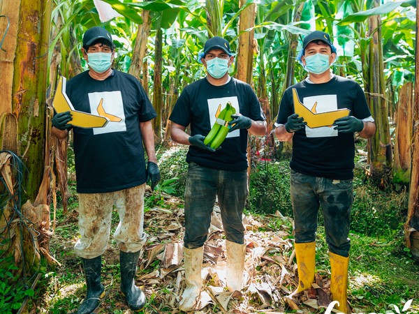 Canadian retailer commits to offering exclusively Fairtrade bananas