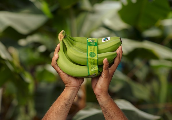 Coliman Bananas celebra su 59.º aniversario
