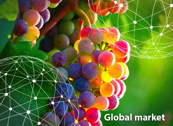 FreshPlaza.fr: Toute l’actualité des fruits et légumes (inter)nationale